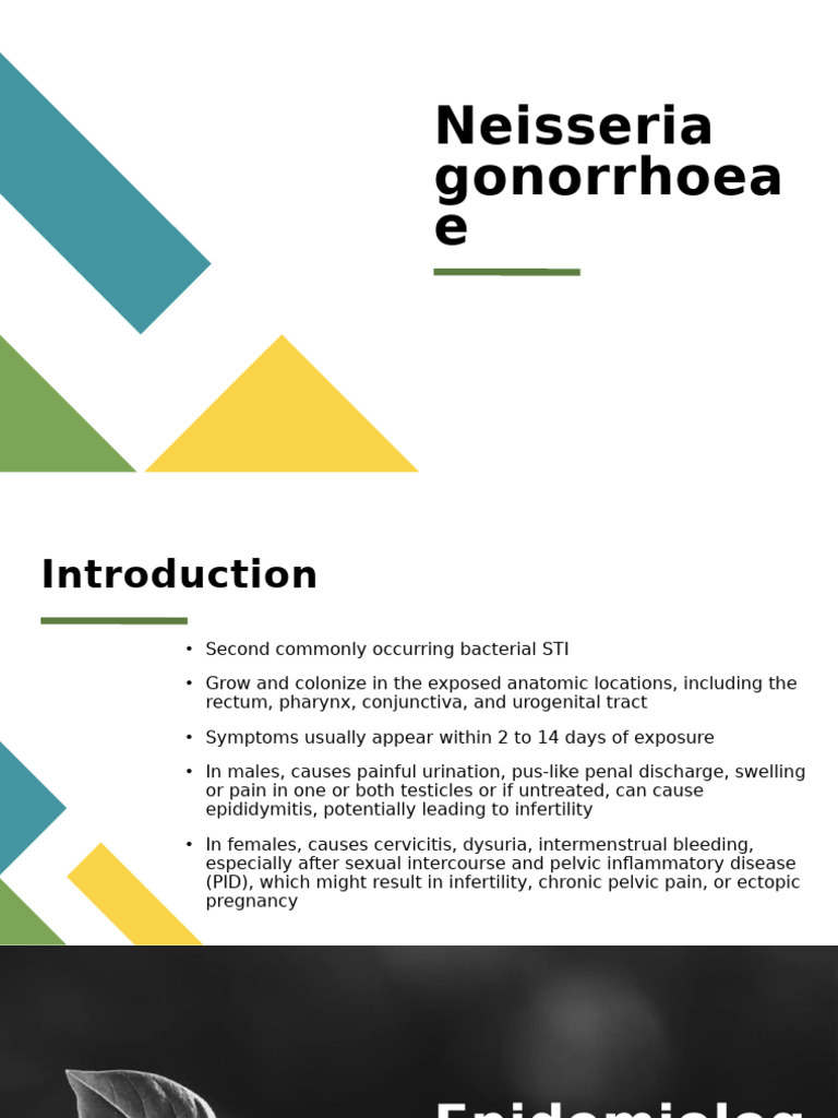 Neisseria Gonorrhoeae | PDF | Antimicrobial Resistance | Clinical Medicine
