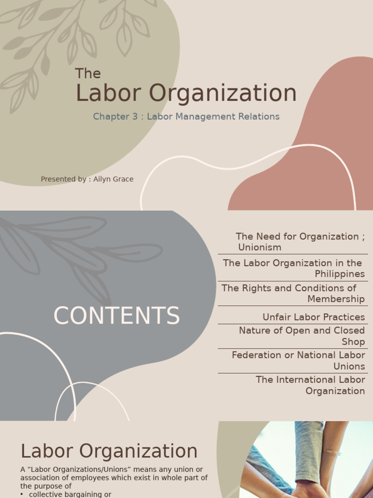 Labor Organization | PDF | Trade Union | Employment