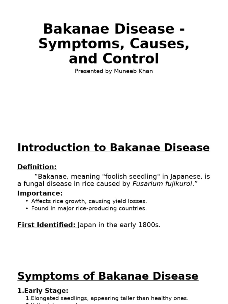 Bakanae Disease - Symptoms, Causes, and More | PDF | Seed | Fungus