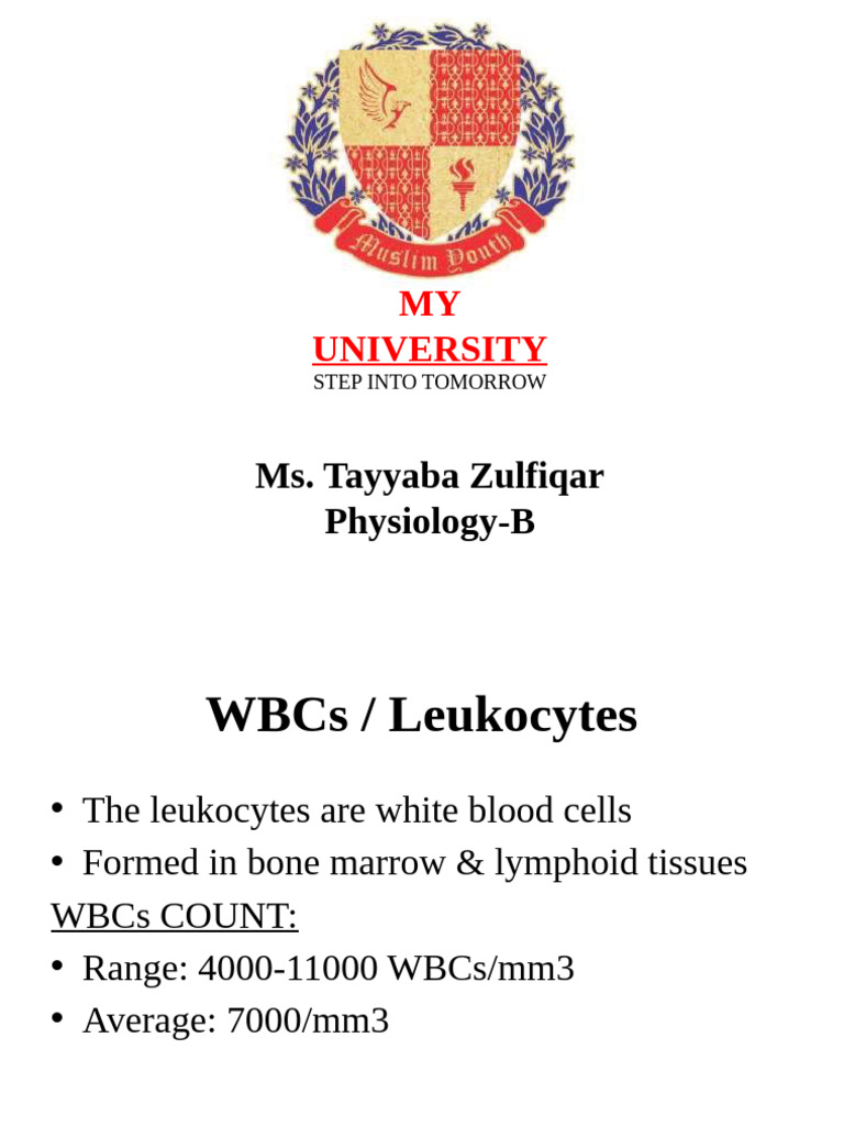 Lect 4-WBCs | PDF | White Blood Cell | Granulocyte