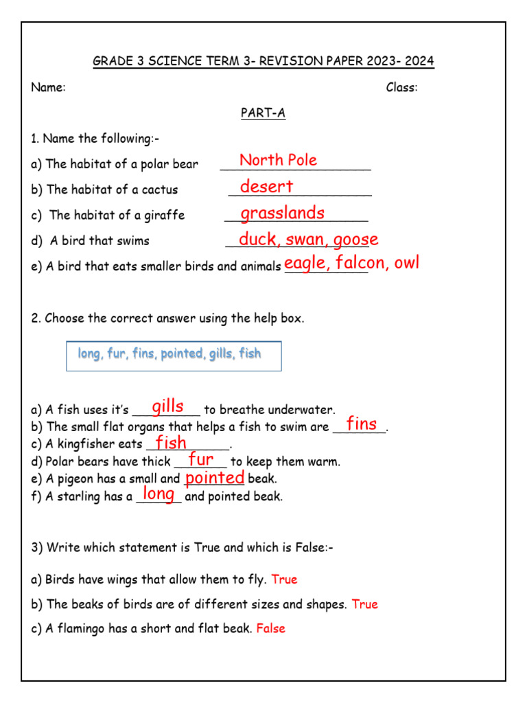 GRADE 3 SCIENCE TERM 3 Revision Key | PDF | Birds | Beak