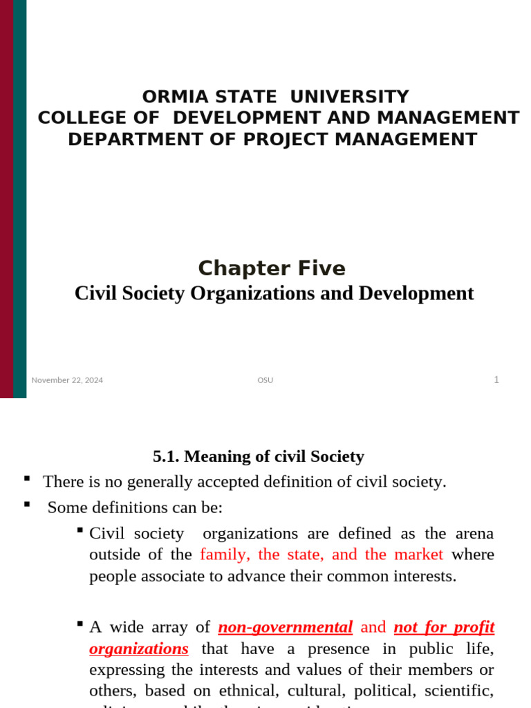 Chapter Five Civil Society Organization & Dev't 2 | PDF | Non ...