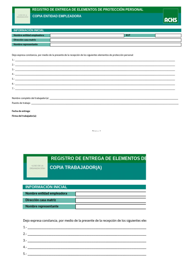 5.1a - Registro de Entrega de EPP | PDF