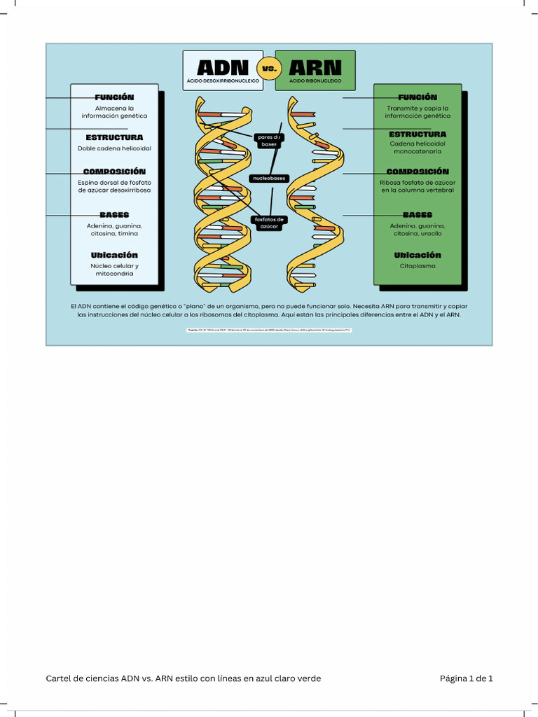 Cartel de Ciencias ADN vs. ARN Estilo Con Líneas en Azul Claro Verde | PDF