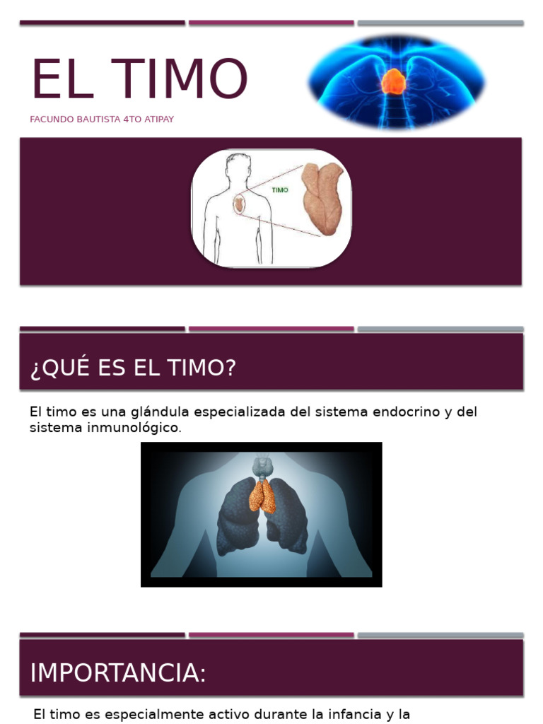 EL TIMO Facundo Bautista 4TO ATIPAY | PDF | Ciencia y matemáticas