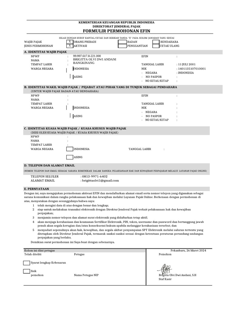 Form Permohonan EFIN (PDF Isian) | PDF