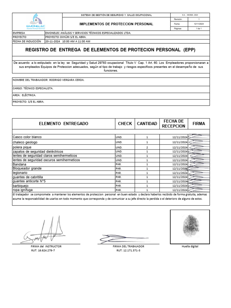 Nuevo Formato Entrega de Epp | PDF