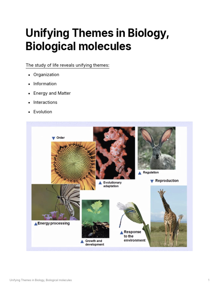 Unifying Themes in Biology Biological Molecules | PDF | Carbohydrates ...
