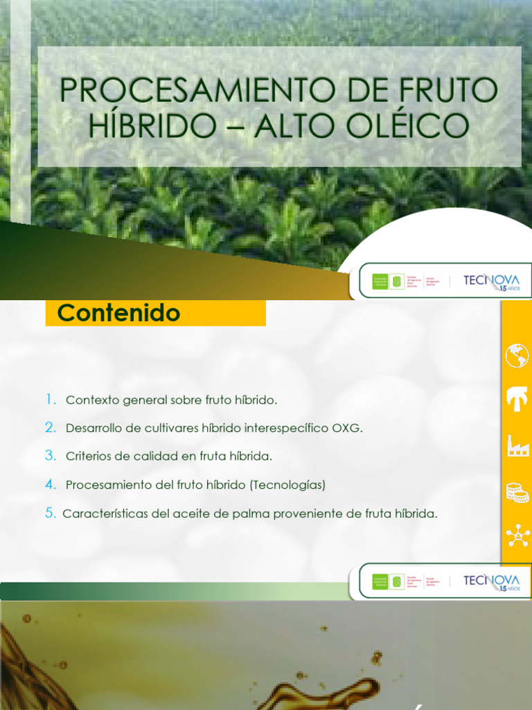 Aspectos Del Procesamiento de Fruto Híbrido | PDF | Hormona Vegetal ...