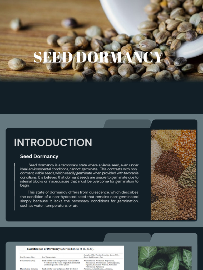SEED-DORMANCY | PDF | Seed | Germination