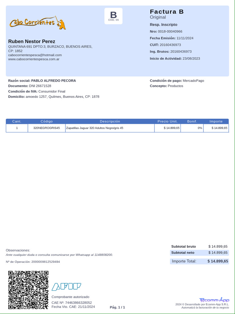 Factura B: Ruben Nestor Perez | PDF