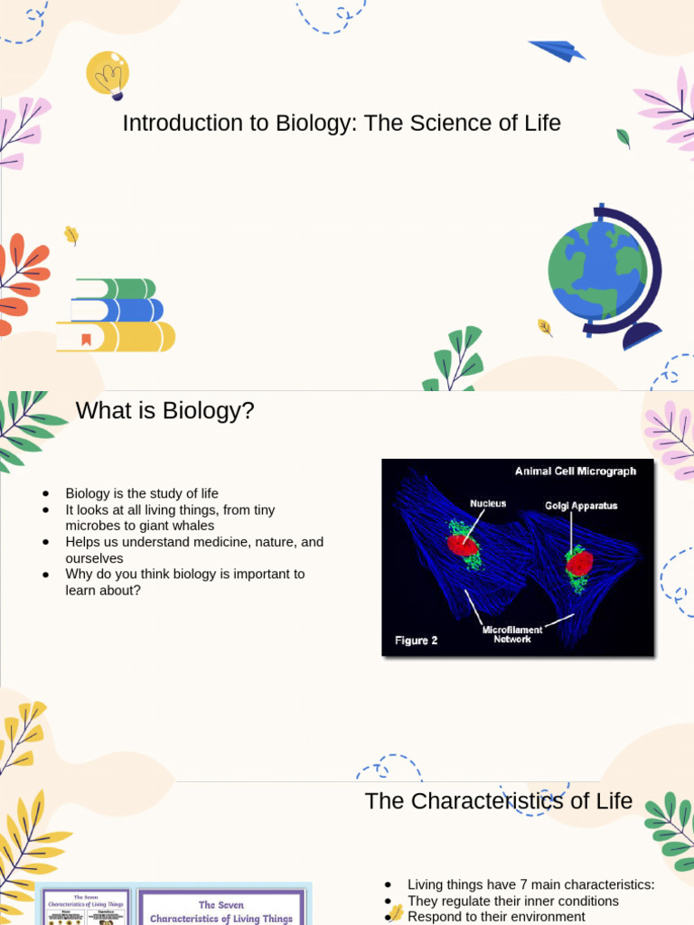 Presentation - 6th Grade | PDF | Organisms | Reproduction