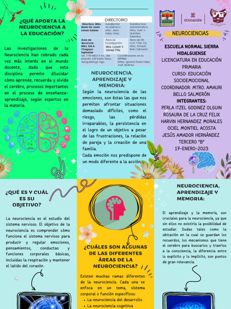 Triptico 1 | PDF | Neurociencia | Aprendizaje