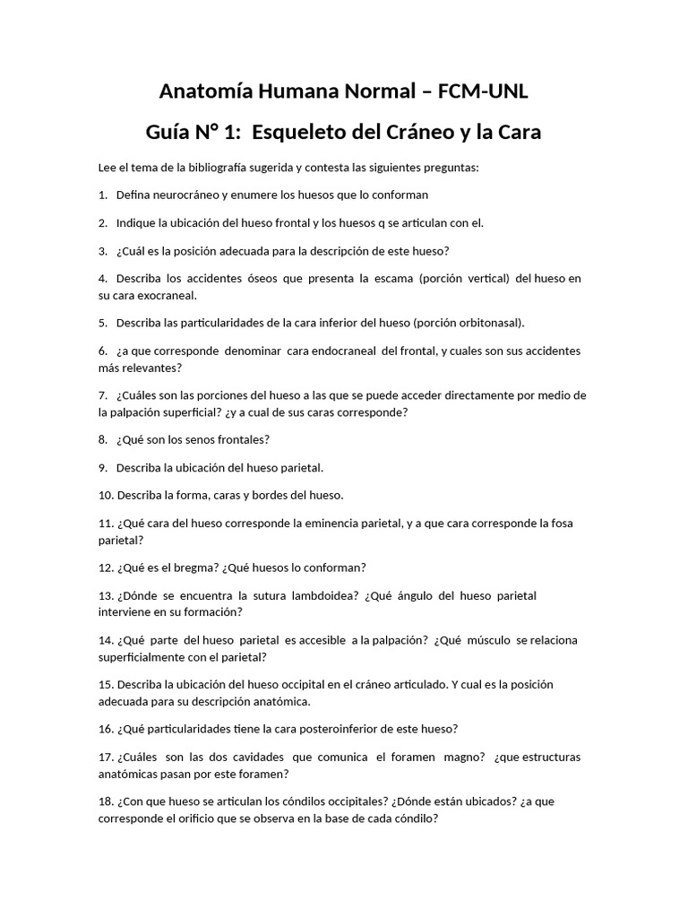 Guías Esqueleto Del Cráneo Y La Cara Pdf Cráneo Sistema Esquelético