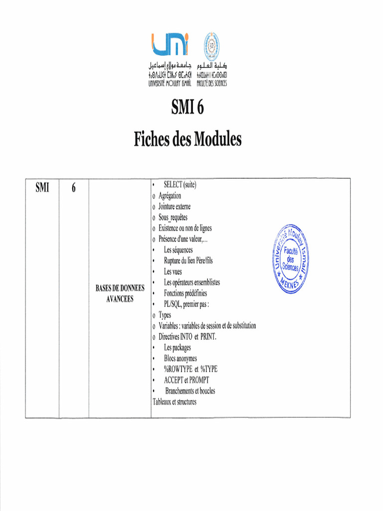 Fiche Module SMI 6 | PDF