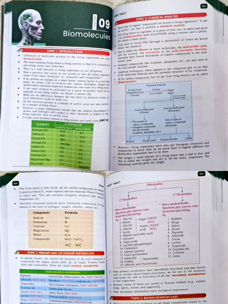 Bio Molecules | PDF | Polysaccharide | Macromolecules