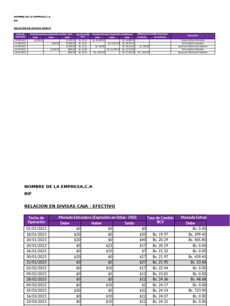 Informe de Operaciones en Divisas 2023 | PDF | Dólar de los Estados ...