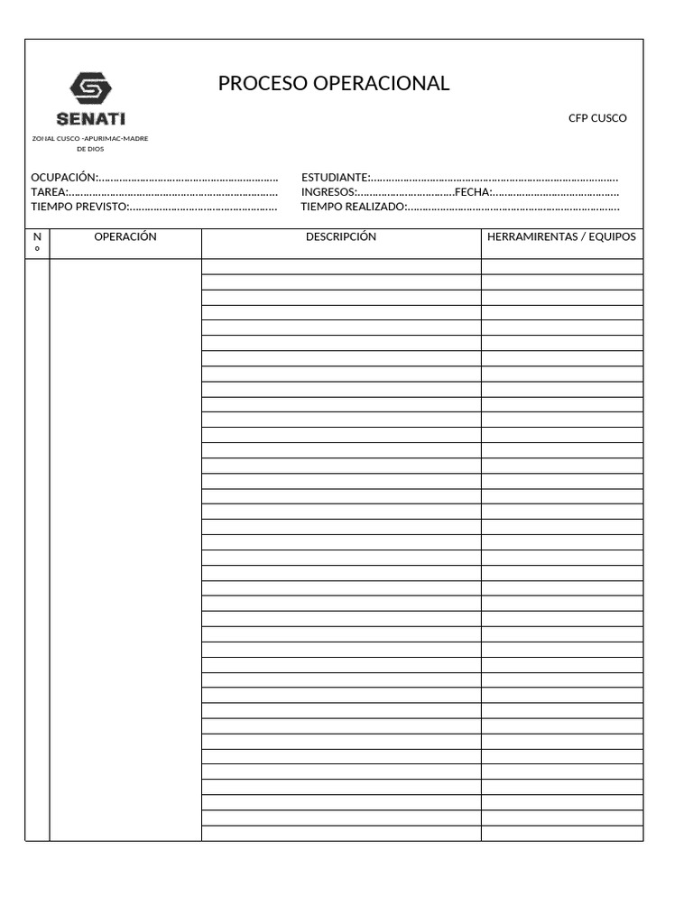 Proceso Operacional | PDF