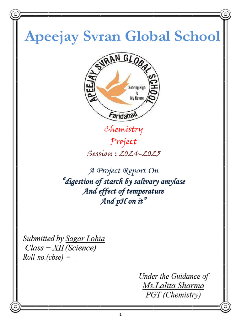 Chemistry Project Class XII 2024-25 Investigatory Project | PDF ...