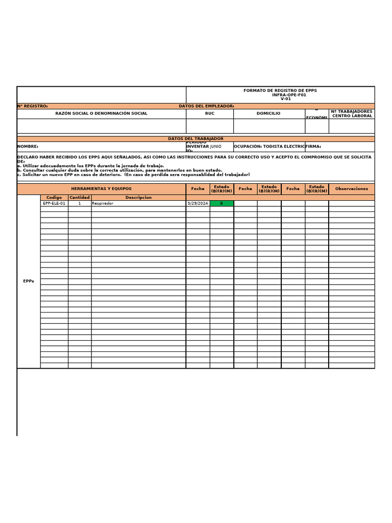 INFRA-OPE-F01 Formato Registro de EPPS | PDF