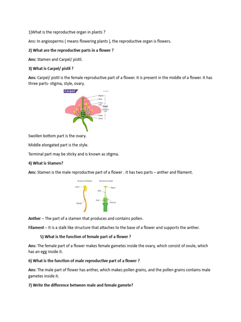 Reproduction Part 2 Pdf Flowers Fertilisation