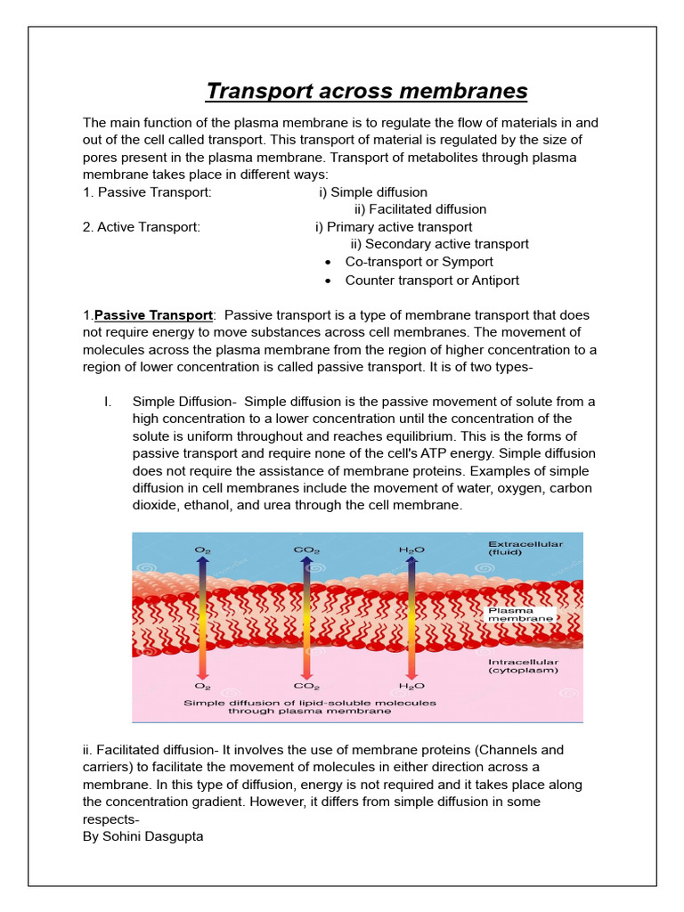 Transport Across Membranes | PDF | Cell Membrane | Cell Biology