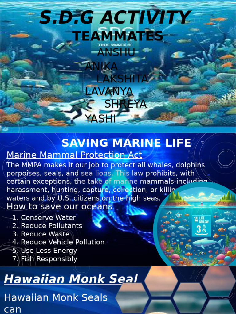 Anshu Prabha Science SDG Activity | PDF | Home & Garden