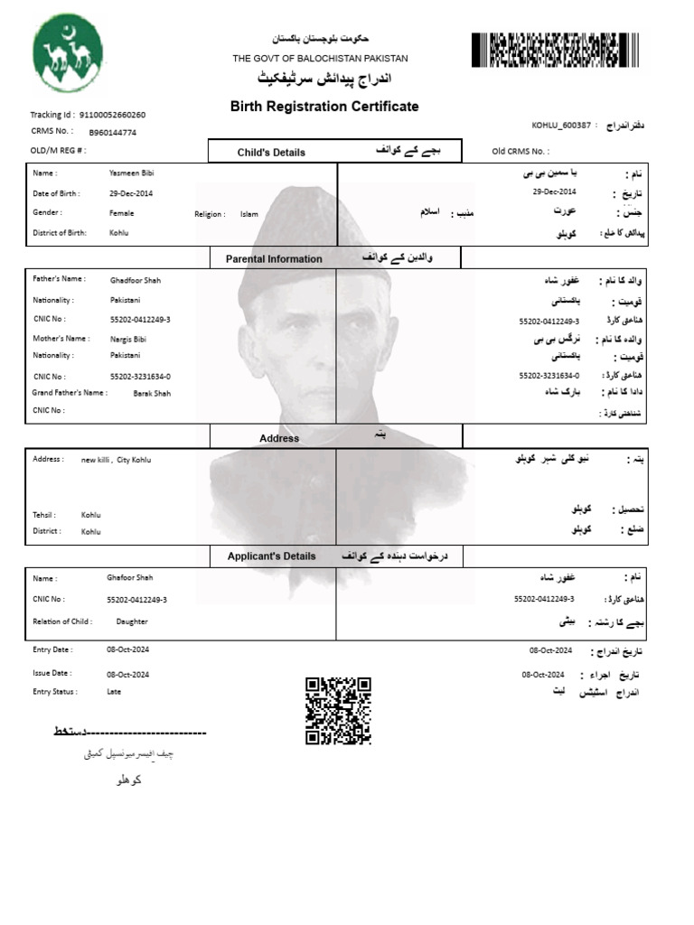Birth Registration Certificate: Child's Details | PDF