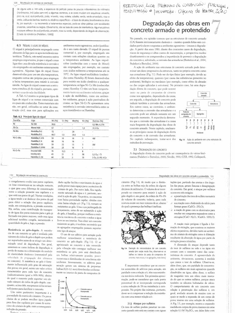 BERTOLINI, Luca - Capitulo 7 | PDF