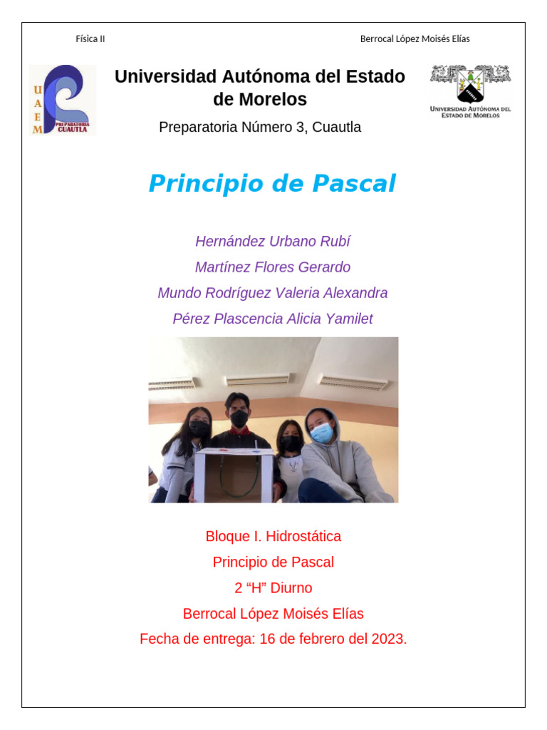 Experimento del Principio de Pascal | PDF | Presión | Líquidos