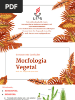 Espermatófitas | PDF | Plantas | Botânica