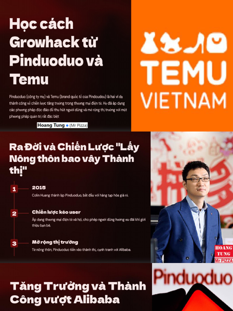 Temu | PDF