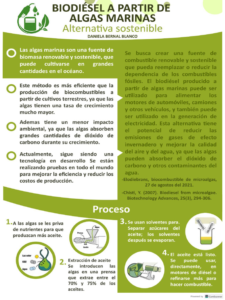 Póster Biodiésel | PDF