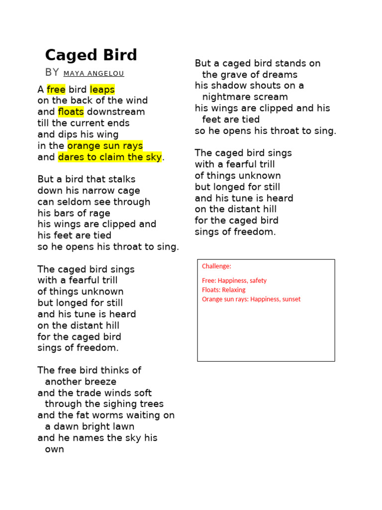 Caged Bird | PDF | Art