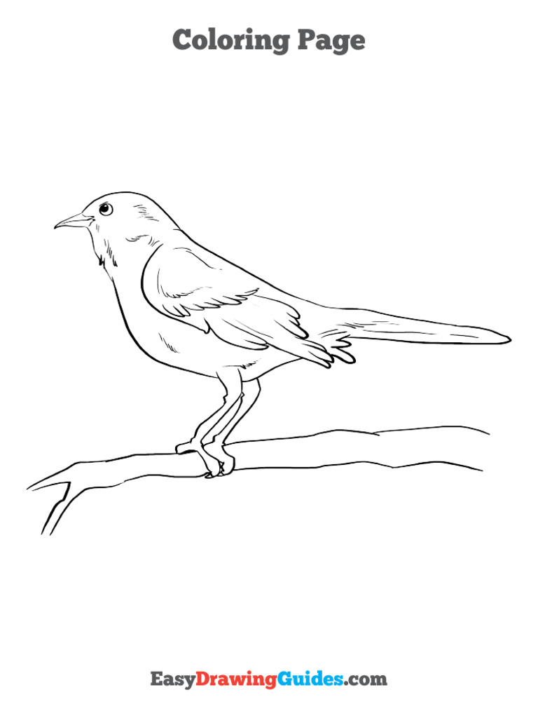 0673 Easy Mockingbird Coloring Page | PDF