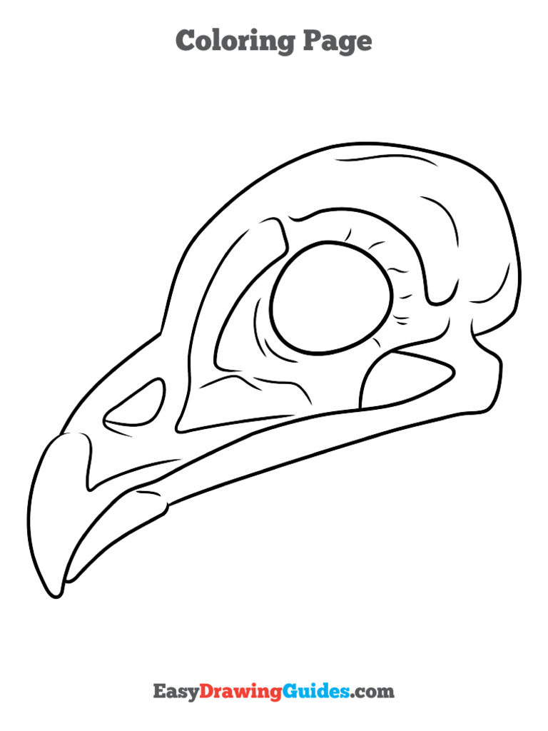 0864 Easy Bird Skull Coloring Page | PDF