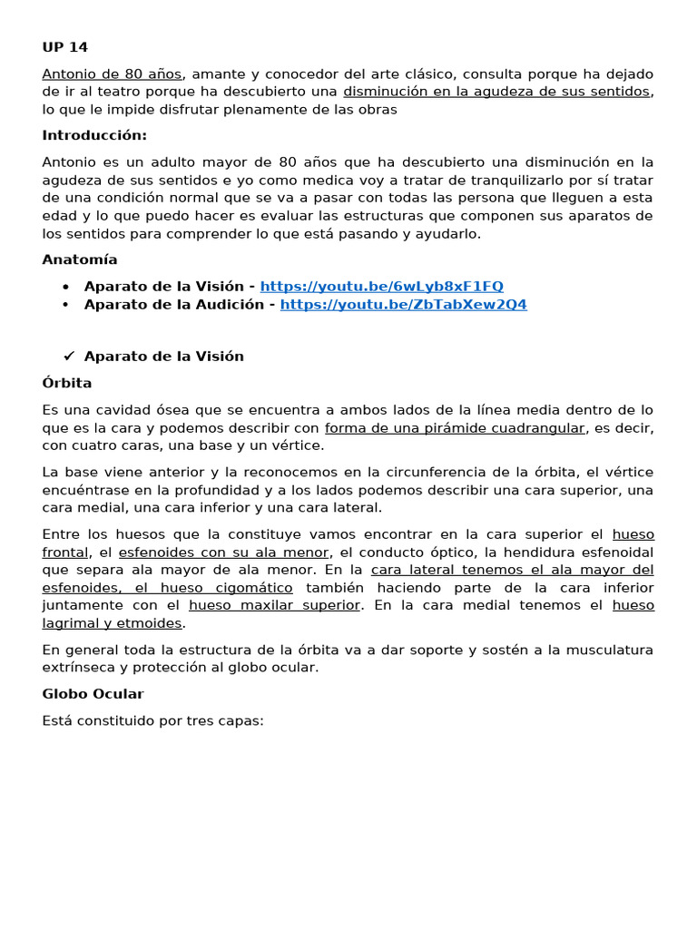 UP 14 - CyD | PDF | Percepción visual | Sonido