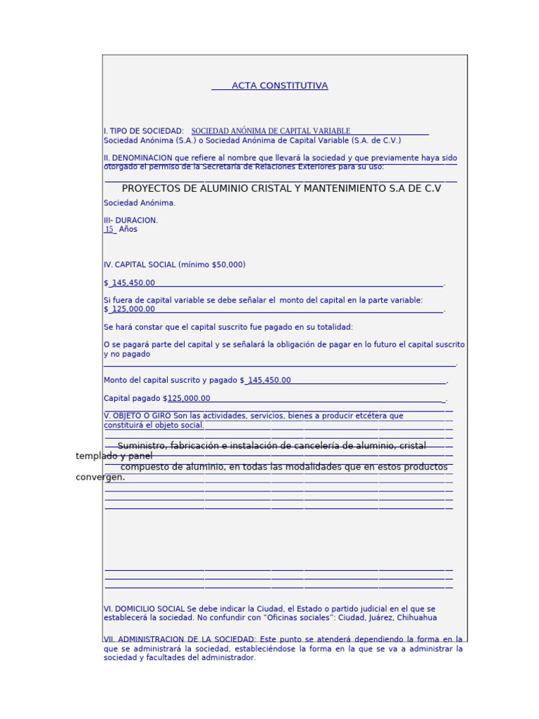 Formato Acta Constitutiva | PDF