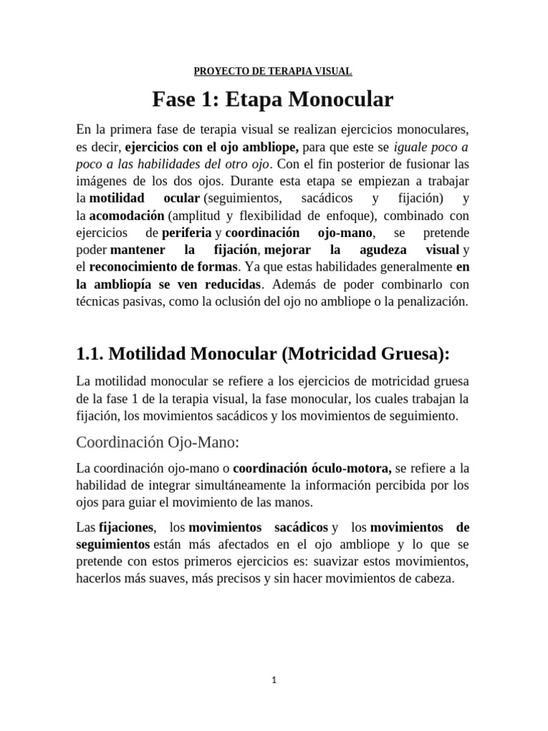 Libro de Terapia Visual | PDF | Ojo | Percepción visual