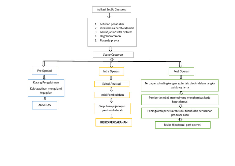 Indikasi dan Risiko Sectio Caesarea | PDF