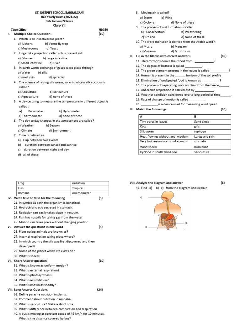7 Science | PDF | Wound | Soil