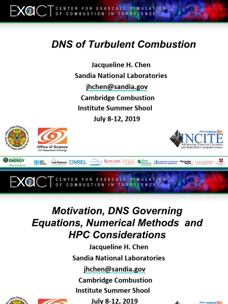 2019 Cambridgeciss Dns Chen | PDF | Combustion | Fuels