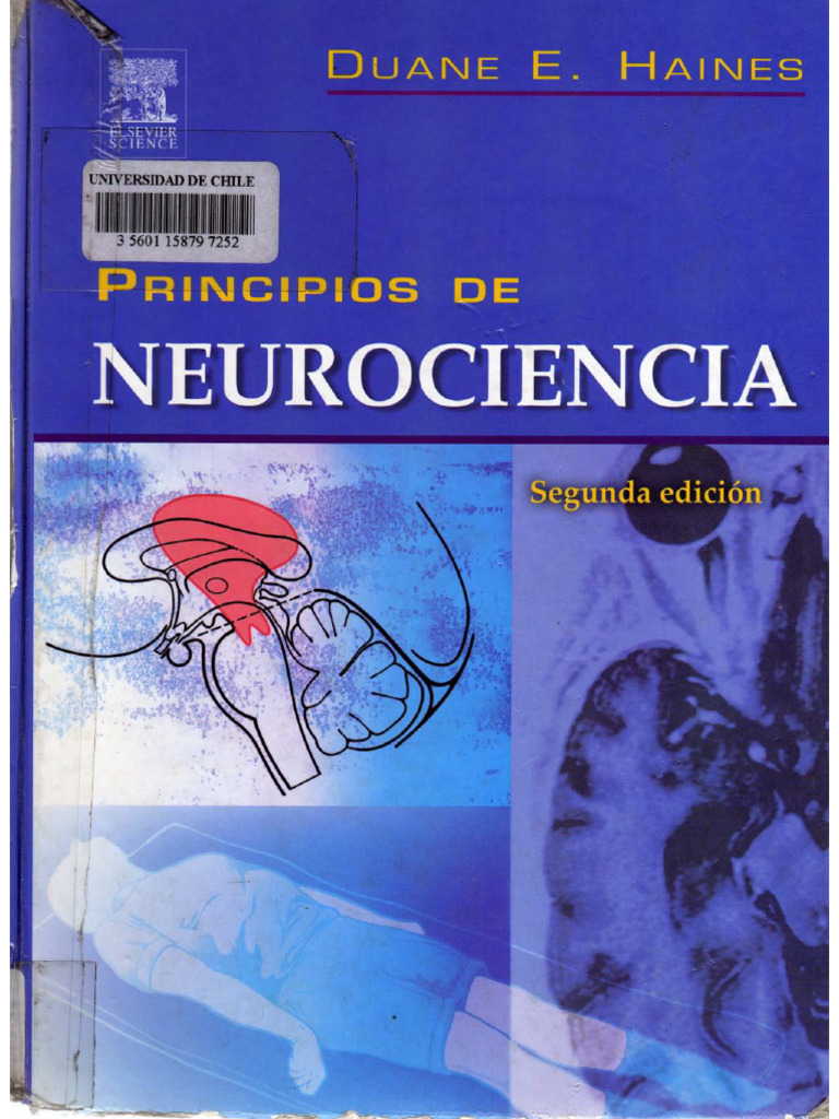 Principios Neurociencias | PDF