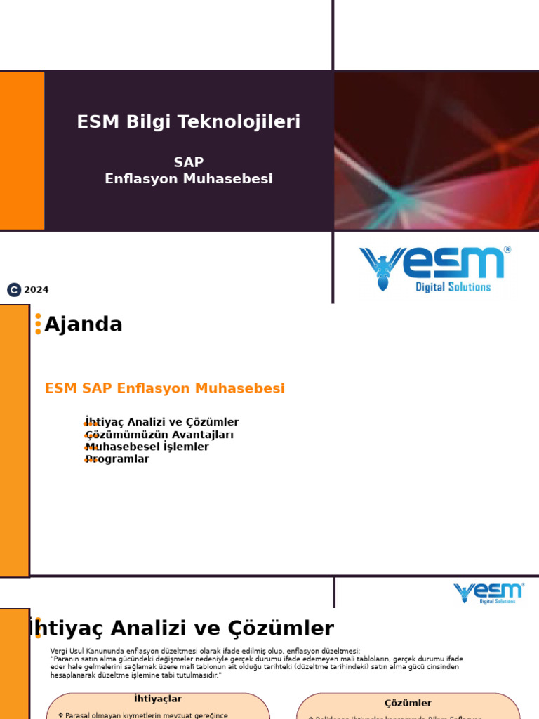 ESM-SAP Enflasyon Muhasebesi | PDF