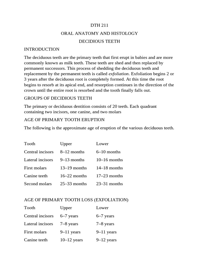 Decidious Teeth - DTH 211 | PDF | Dental Anatomy | Tooth