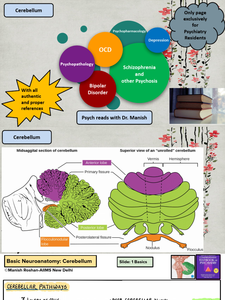 Cerebellum | PDF | Self-Improvement
