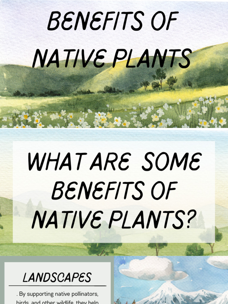 Benefits of Native Plants for Ecosystems | PDF