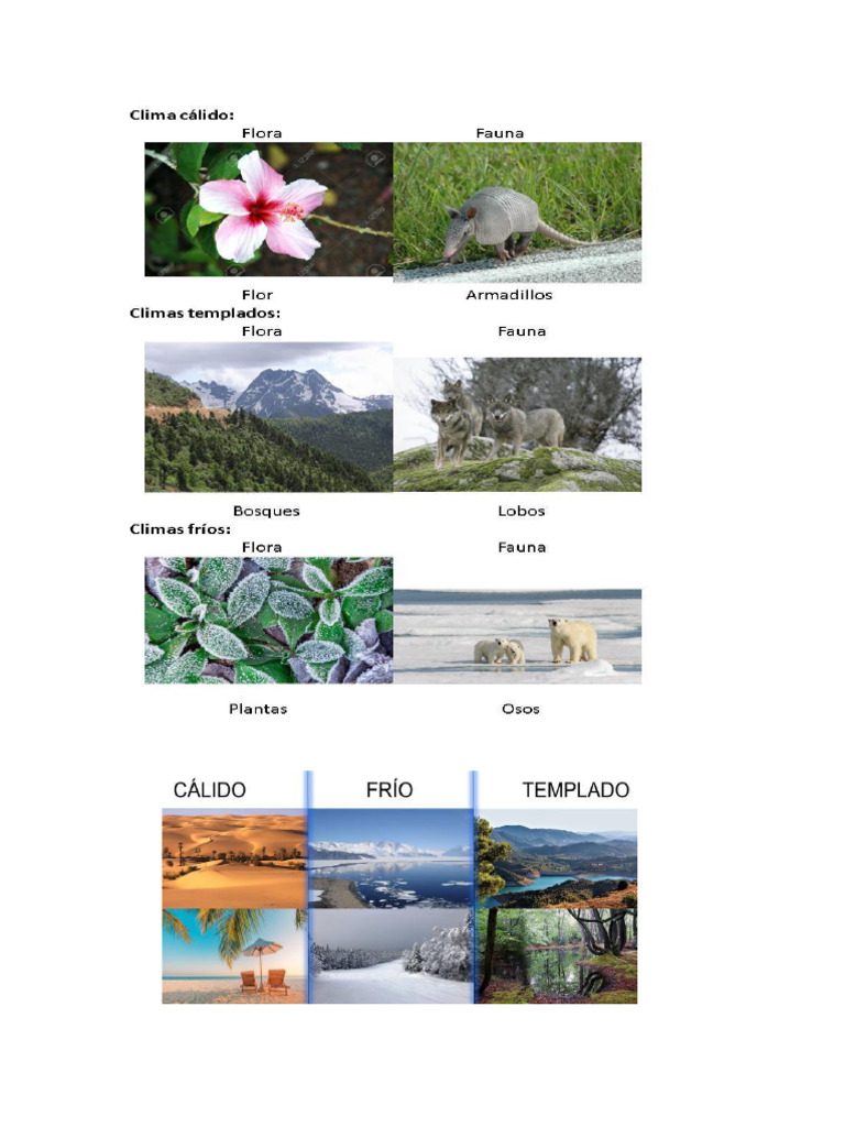 Tipos de Climas | PDF