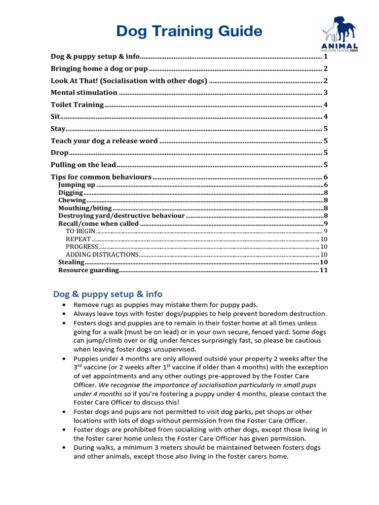 Dog Training Guide | PDF | Dog Training | Dogs