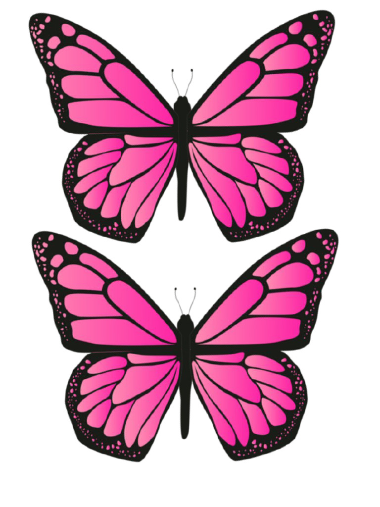 Imagenes de Mariposas para Imprimir | PDF
